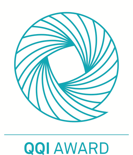 QQI Level 6 Train the Trainer course delivered by Qualtec